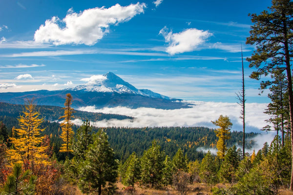 Best Places to Overland in Oregon – Solid Wood Worx